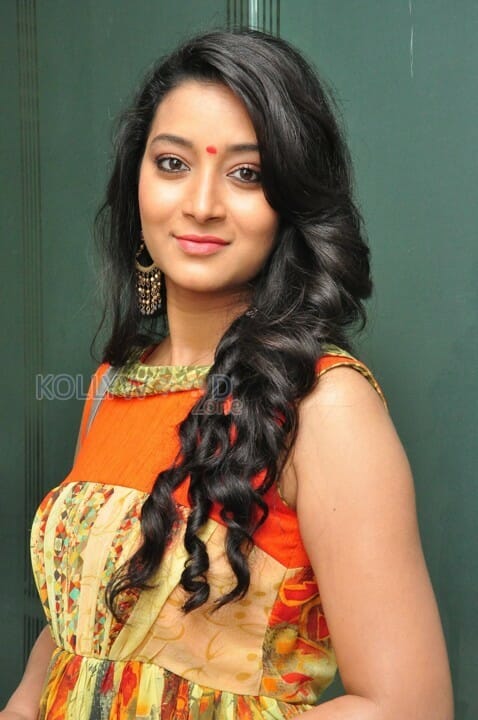 Actress Bhanu Sri Stills 12 (13249) | Kollywood Zone