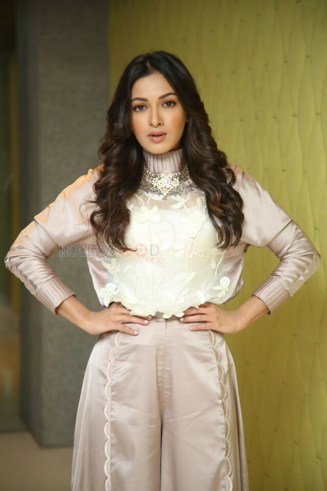 Actress Catherine Tresa At Vadaladu Movie Interview Photos 30 (42723 ...