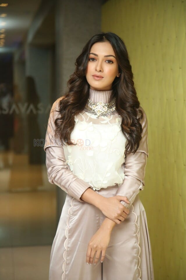Actress Catherine Tresa At Vadaladu Movie Interview Photos 31 (42724 ...