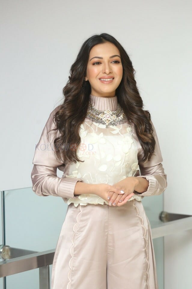 Actress Catherine Tresa At Vadaladu Movie Interview Photos 45 (42738 ...