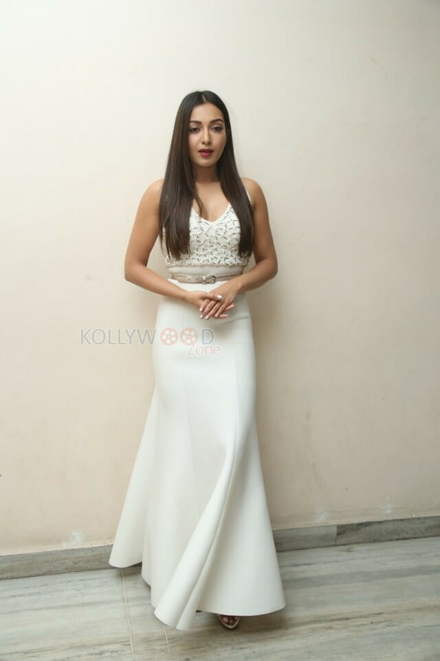 Actress Catherine Tresa At Vadaladu Movie Press Meet Photos 36 (42778 ...
