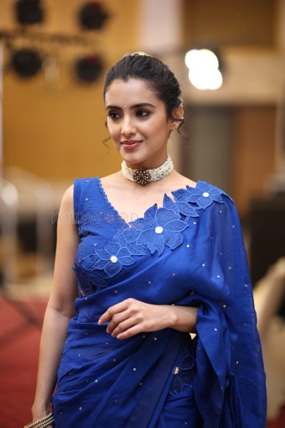 Actress Malvika Sharma At Bhimaa Movie Thanks Meet Photos 12 (300088 ...