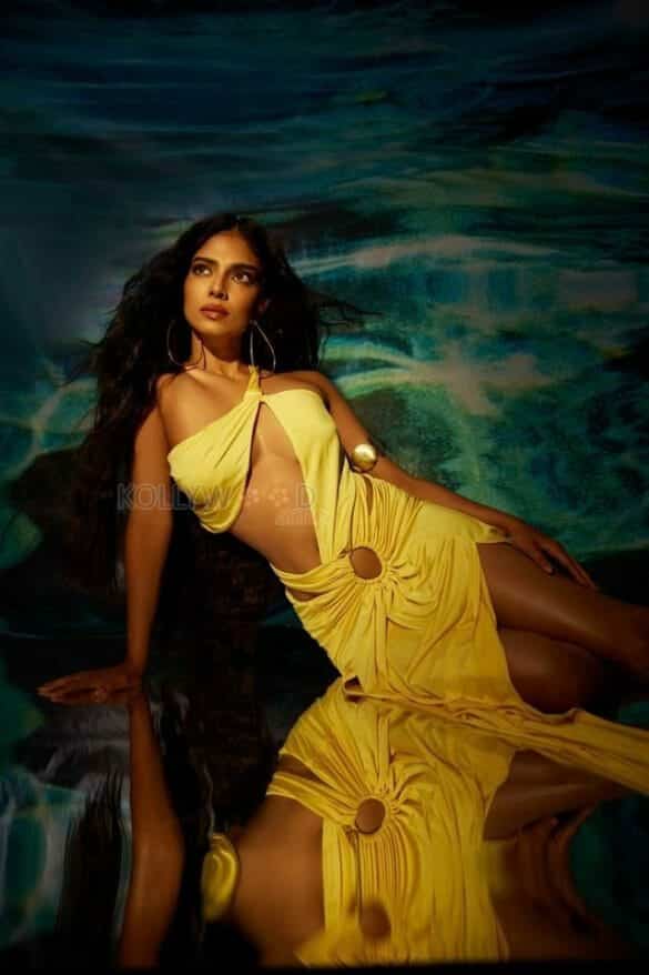 Dusky Actress Malavika Mohanan Hot Photoshoot Stills 05 (224623) | Kollywood Zone