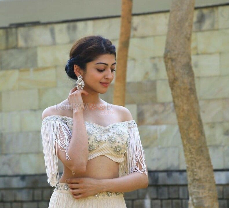 Gorgeous Pranitha Subash Photos 09 (41440) | Kollywood Zone