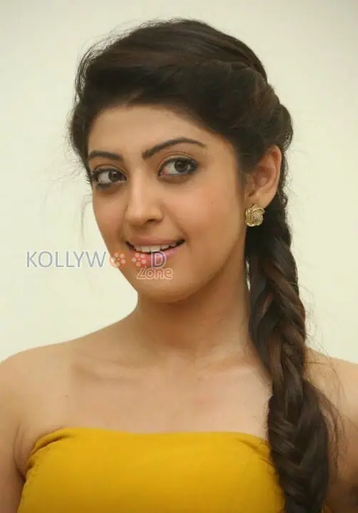 Kannada Actress Praneetha Photos 14 (41473) | Kollywood Zone