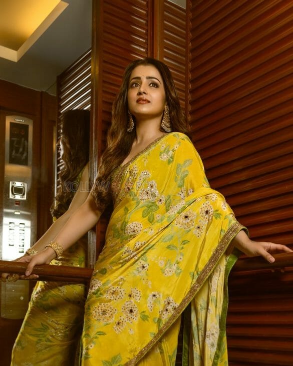 Mesmerizing Trisha Krishnan Photoshoot Stills 19 (238958) | Kollywood Zone