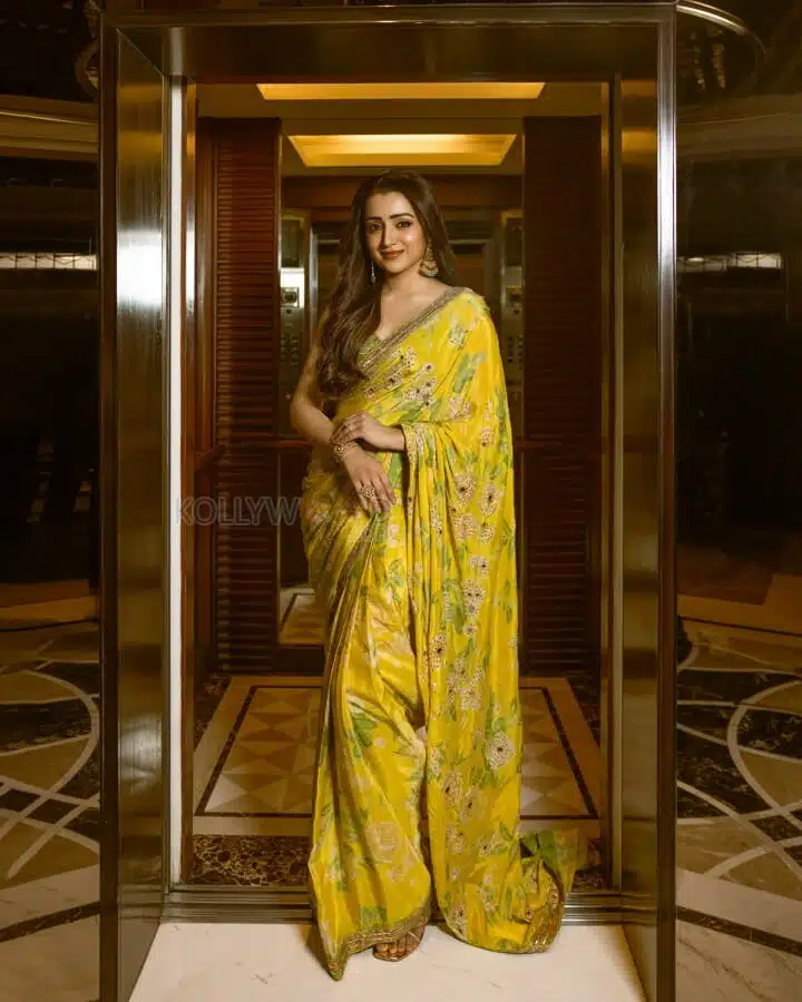 Mesmerizing Trisha Krishnan Photoshoot Stills 21 (238960) | Kollywood Zone