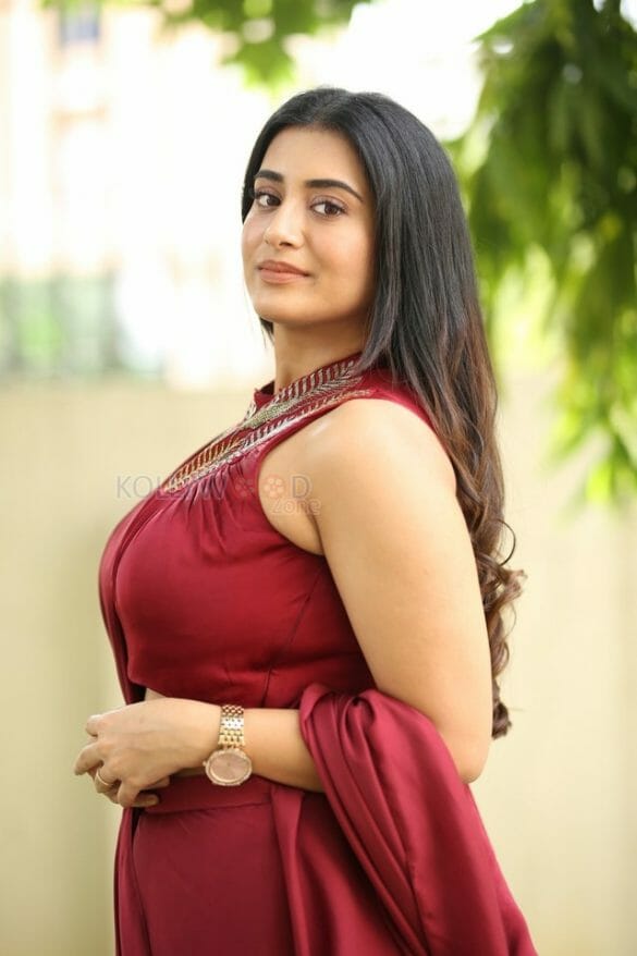 Actress Rashi Singh At Papam Pasivadu Web Series Trailer Launch Photos ...