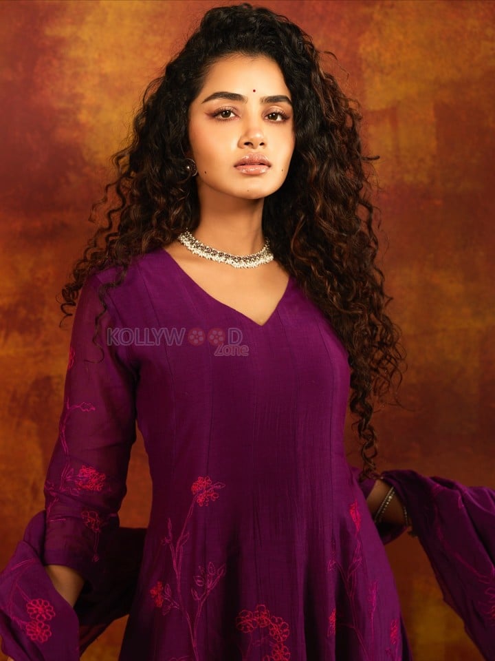 Beautiful Anupama Parameswaran In A Purple Anarkali Kurta Photos 06 ...