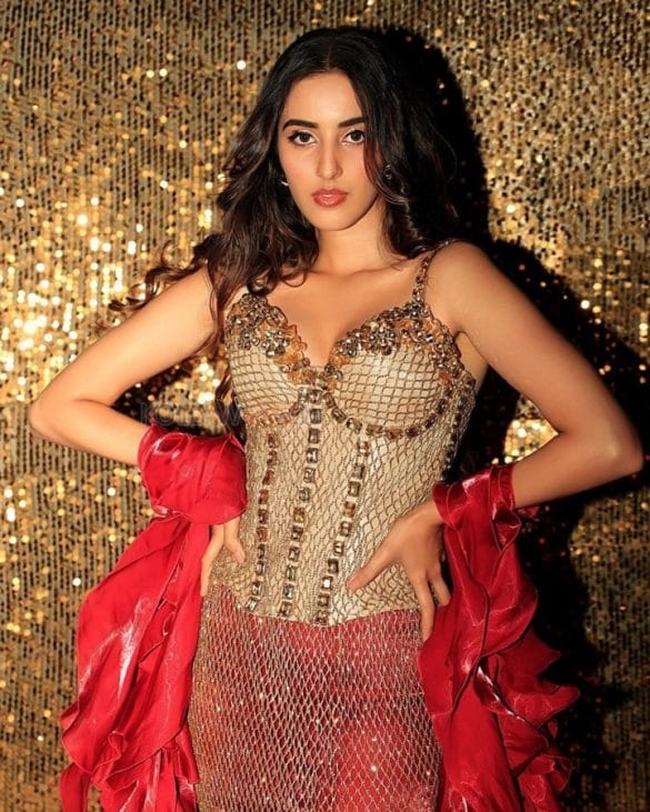Sexy Simrat Kaur In A Red Embroidered Satin Maroon Skirt With A Bustier Blouse With Ruffed Hand