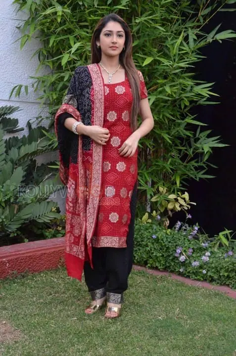 Telugu Actress Sayesha New Pictures 20 (88746) | Kollywood Zone