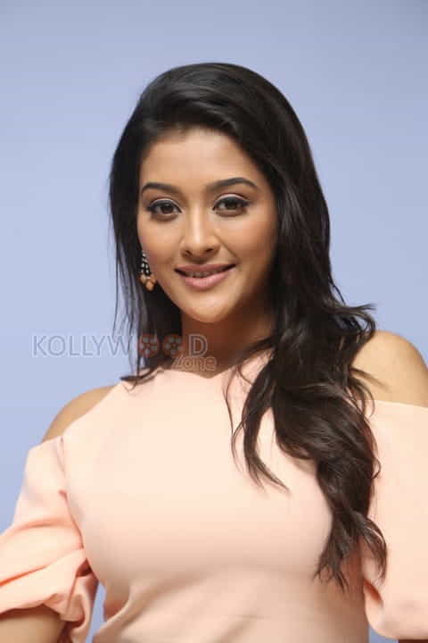Beautiful Pooja Jhaveri Photos 31 (114955) | Kollywood Zone