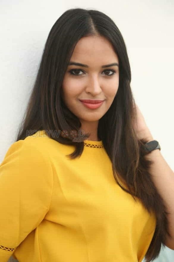 Telugu Actress Poojitha Stills 01 (130306) | Kollywood Zone