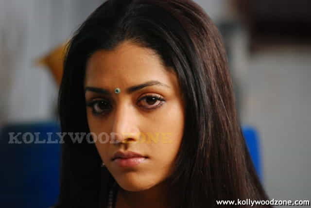 Cute And Sexy Mamta Mohandas Stills 16 144822 Kollywood Zone