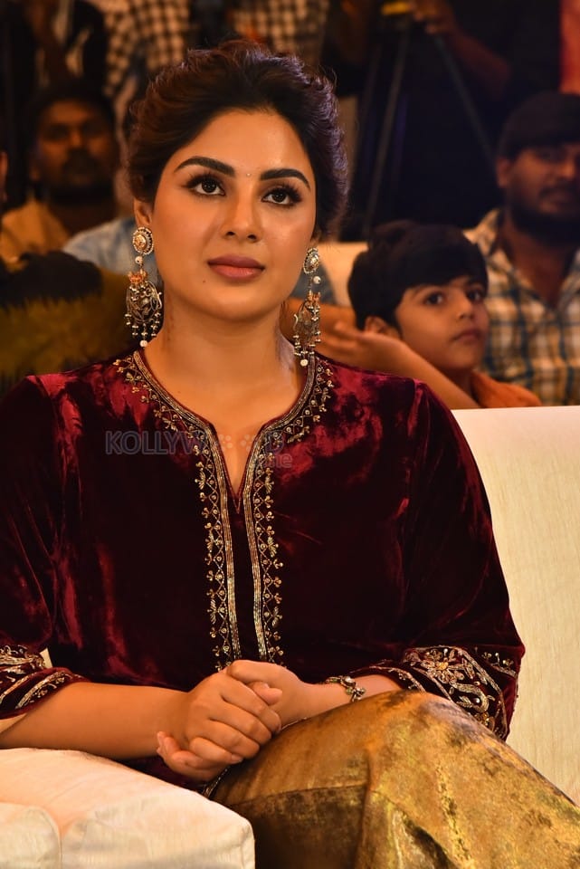 Actress Samyuktha Menon At Nari Nari Naduma Murari Movie Success Meet ...