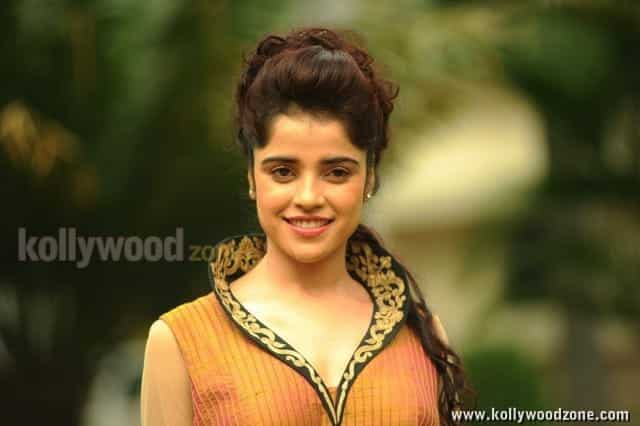 Actress Piaa Bajpai Photos 31 171224 Kollywood Zone