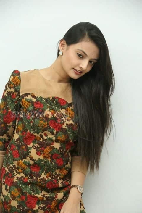 Actress Nikitha Narayan Latest Photos 32 (187547) | Kollywood Zone