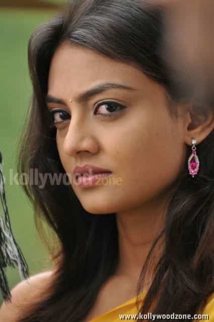 Nikitha Narayanan Its My Love Story Sexy Pictures 08 (187266 ...