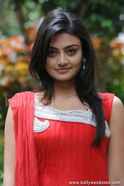 Telugu Actress Nikitha Narayan Photos 08 (187032) | Kollywood Zone