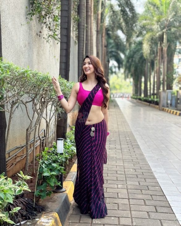 Sexy Eshanya Maheshwari Showing Navel In A Magenta Saree With Pink Blouse Photo 01 290257
