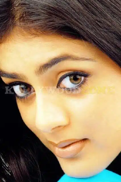 Hot Parvati Melton Stills 68 (206137) | Kollywood Zone