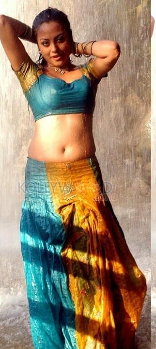 Tamil Actress Meenakshi Sexy Stills 05 208951 Kollywood Zone