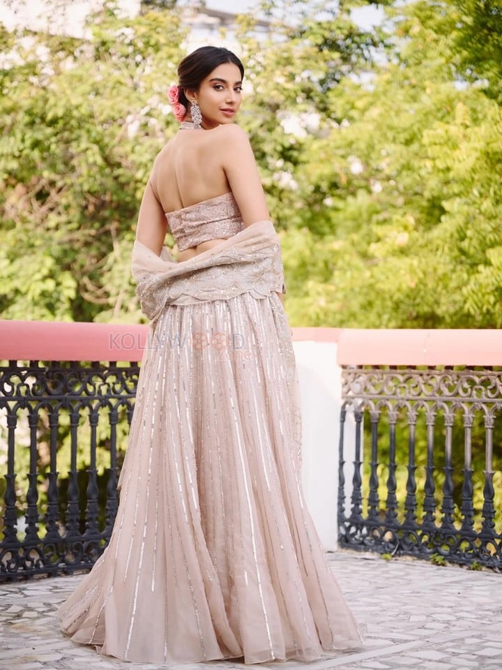 Flawless Meenakshi Chaudhary In A Blush Pink Embroidered Lehenga ...