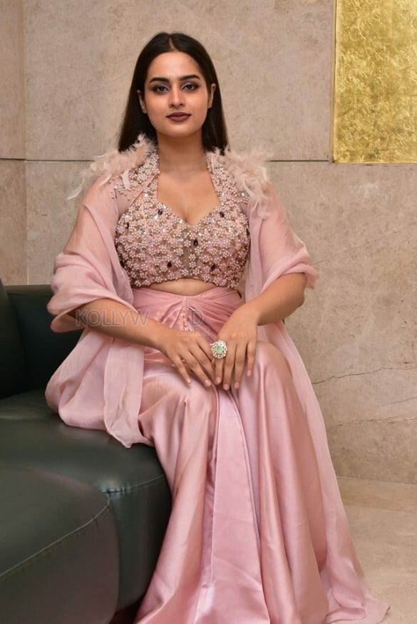 Actress Ayesha Khan At Mukhachitram Movie Pre Release Event Photos 02 ...
