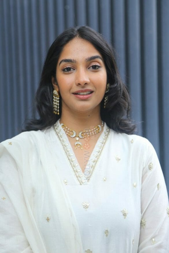 Actress Karthika Muralidharan At Aakasham Daati Vastava Press Meet ...