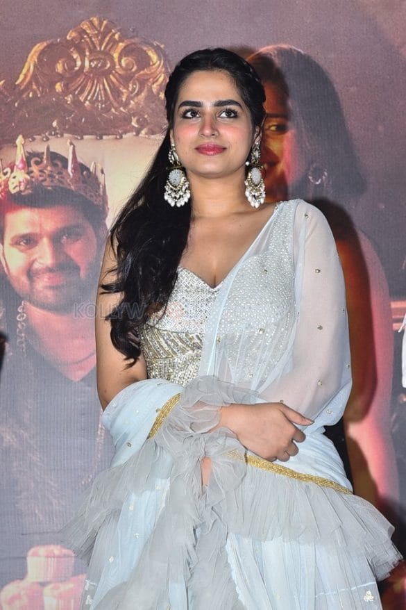 Sexy Ayesha Khan At Om Bheem Bush Teaser Launch Event Pictures 33 (299357) | Kollywood Zone