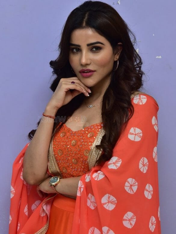 Actress Krishika Patel At Artiste Glimpse Launch Photos 04 (243526 ...